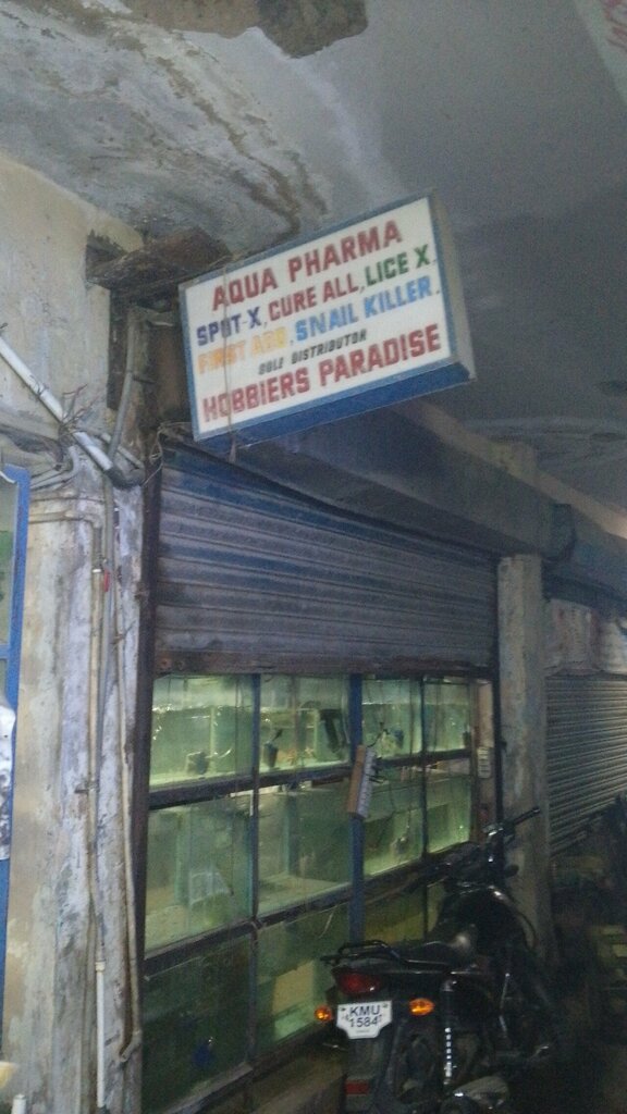 Hobi, elişi için ürünler Aqua paharma, Karaçi, foto