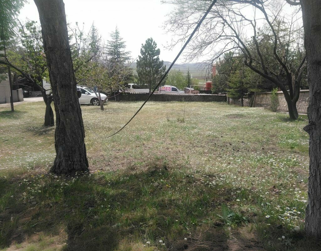 Muhtarlıklar Altunçanak Köyü Muhtarlığı, Ankara, foto