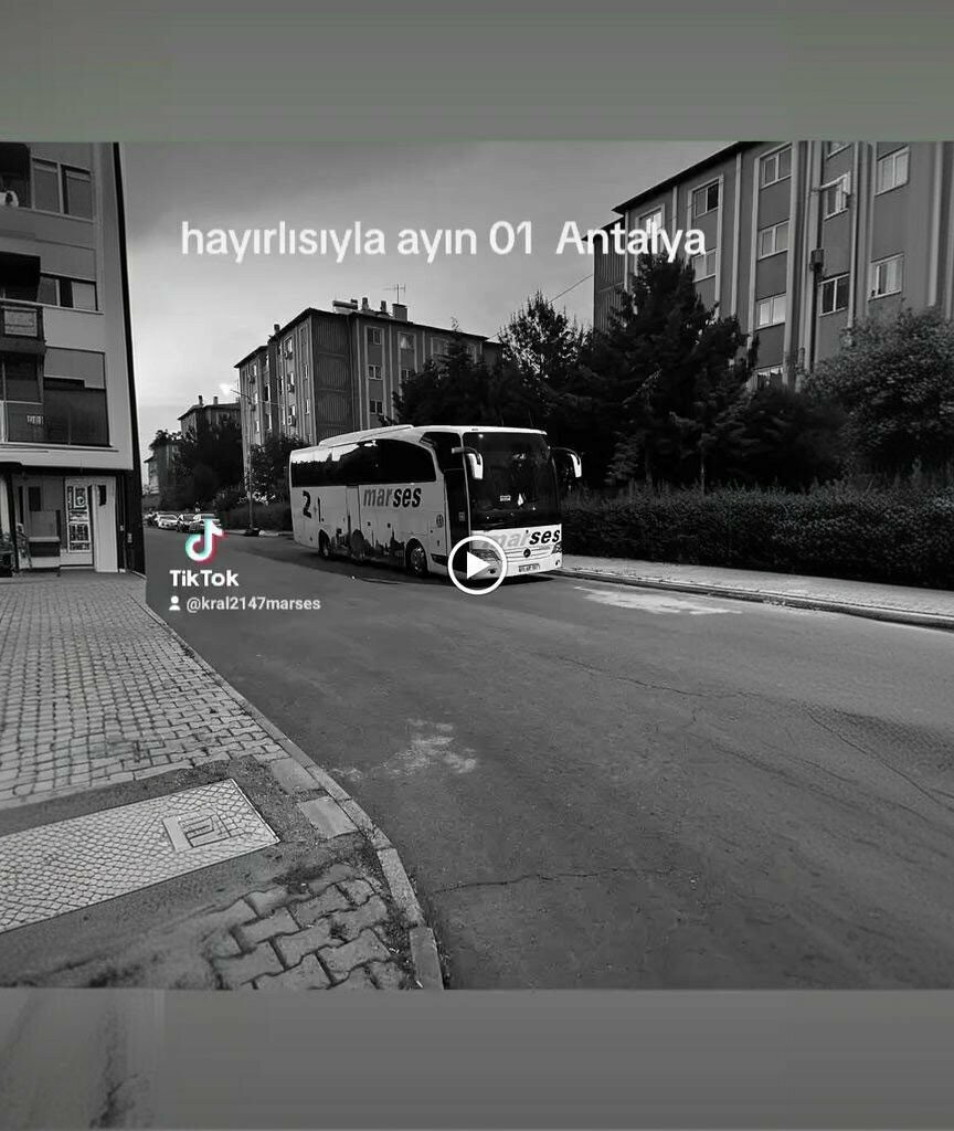 Otobüs taşımacılığı Marses Turizm, Artuklu, foto