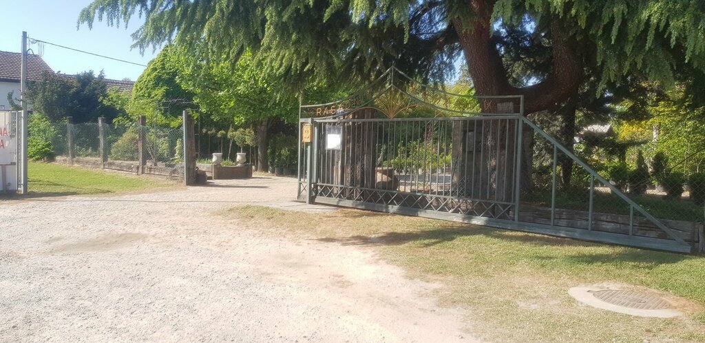 Fidan yetiştiriciliği Rasadnik Komarov, Güney Backa İlçesi, foto