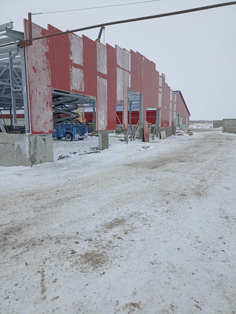 Hayvancılık Животноводческое хозяйство, Saratovskaya oblastı, foto