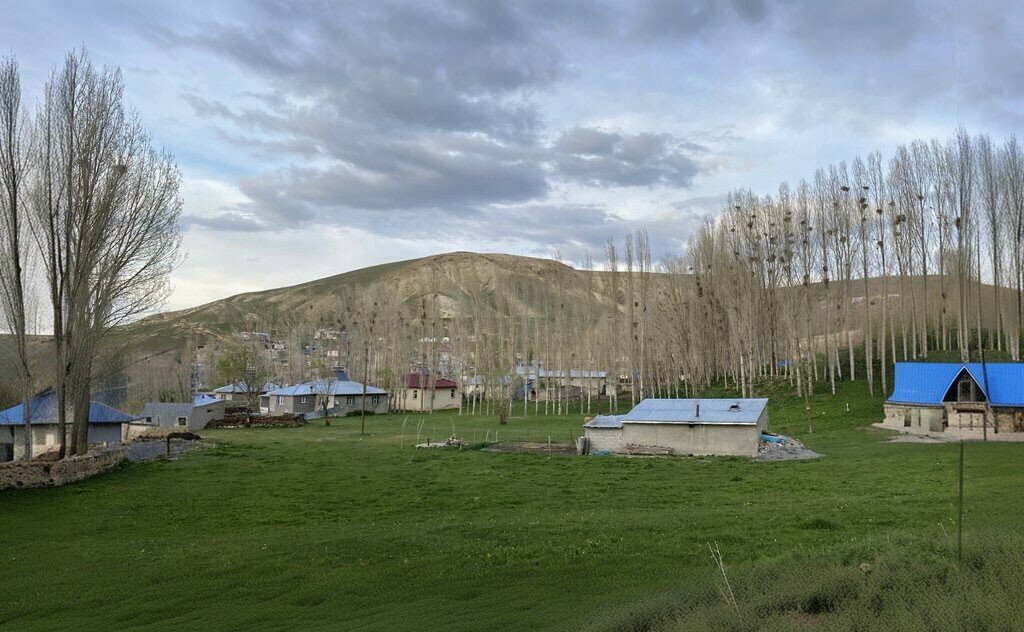 Muhtarlıklar Kuşburnu Köy Muhtarlığı, Diyadin, foto