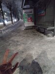 Социалистическая улица (Sotsialisticheskaya Street No:1), toplu taşıma durağı  Kovrov'dan