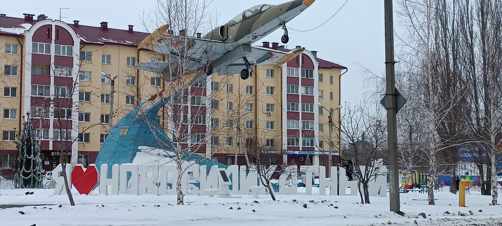 Teknoloji anıtı Самолëт L-39 Альбатрос, Barnaul, foto