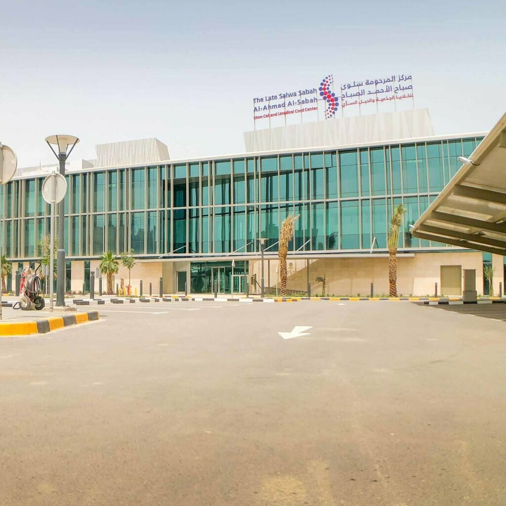 i̇ş merkezi Ssh, Dubai, foto