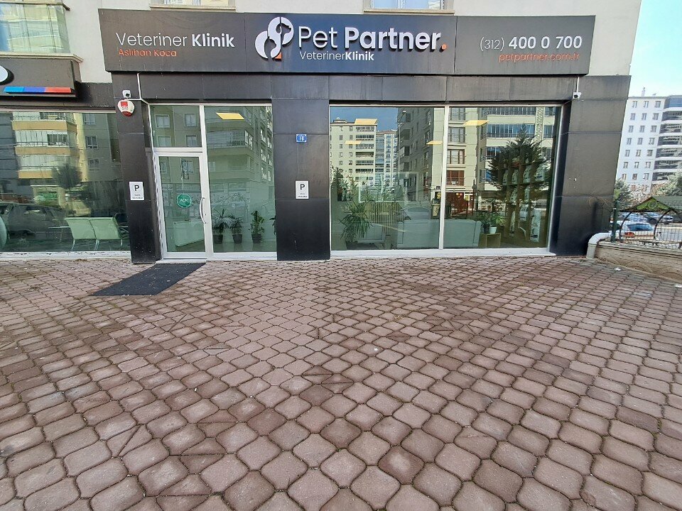 Veteriner klinikleri Petpartner Veteriner Klinik, Ankara, foto