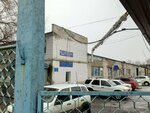 Institute of Security, Logistics and Modern Technologies in Transport (Chichkanova Street No:2), kurs  Tambov'dan