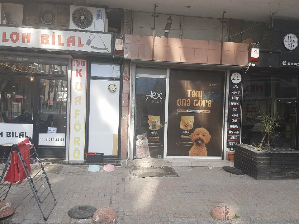 Petshop Animo, İstanbul, foto