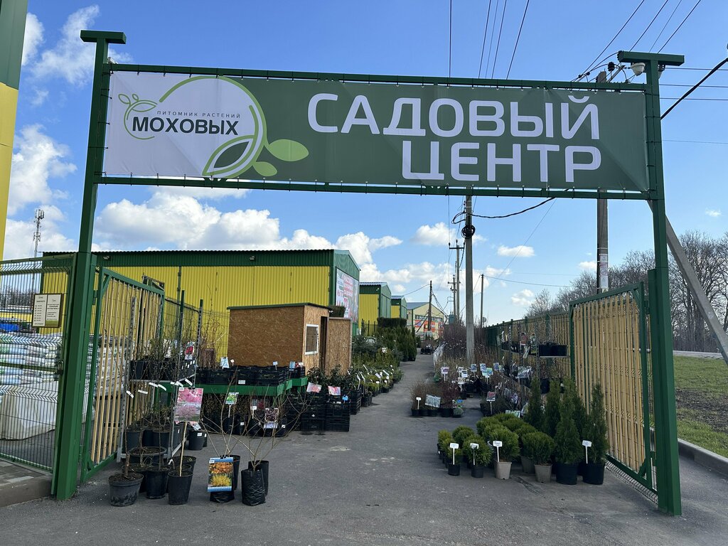 Fidan yetiştiriciliği Питомник растений Моховых, Saint‑Petersburg ve Leningradskaya oblastı, foto