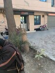 Shafiq Architecture (Province of Punjab, Lahore, Milad Chowk Road), mimari proje firmaları  Lahor'dan
