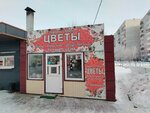 Цветы (Omsk, mikrorayon Gorodok Neftyanikov, ulitsa Blyukhera), çiçekçiler  Omsk'tan