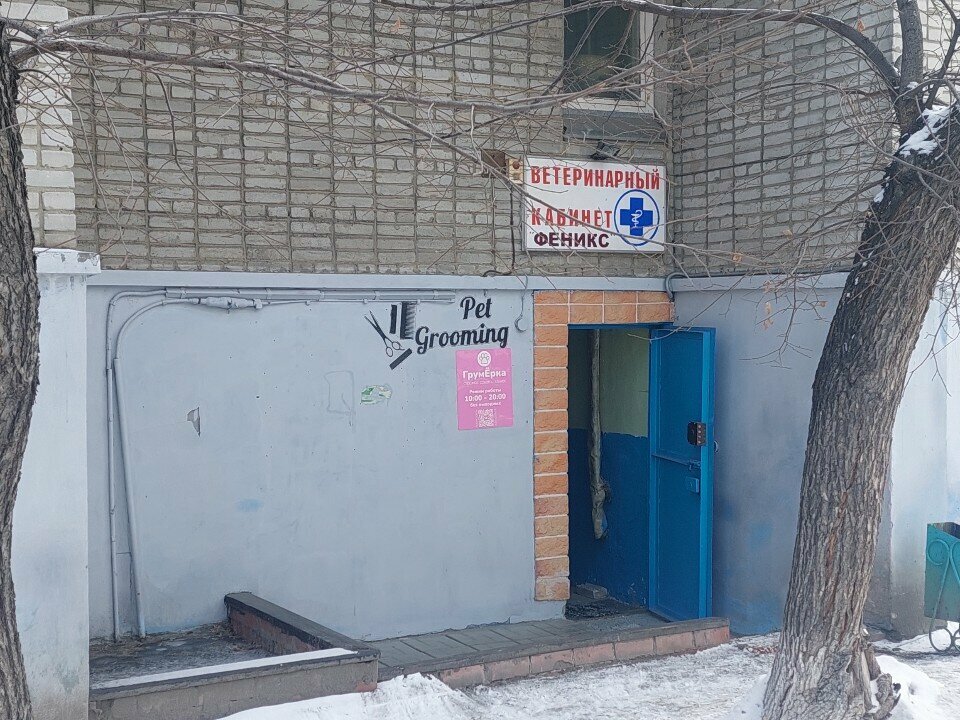 Evcil hayvan kuaförleri Groomerka, Kurgan, foto