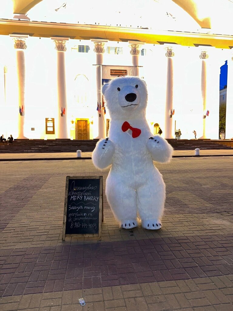 Etkinlik organizasyonu Mery Animators, Kaluga, foto