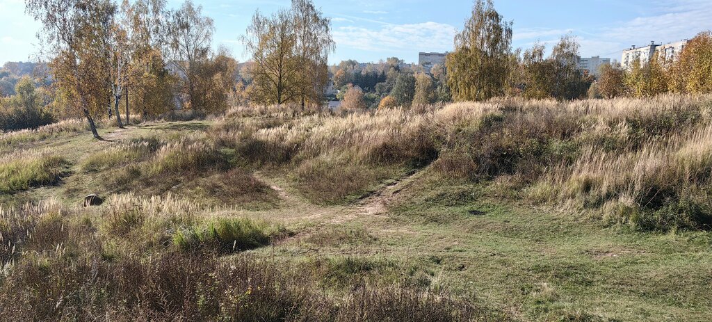 Köpek gezdirme alanları Dog park, Smolensk, foto