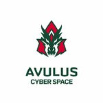 Avulus Cyber Space (Serebryanichesky Lane No:12с1), bilgisayar kulübü  Moskova'dan