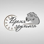 Время груминга (Troitskiy Avenue No:45к1), evcil hayvan kuaförleri  Arhangelsk'ten