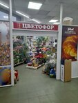 Цветофор (Severnaya Street No:87, Lesozavod District), çiçekçiler  Syktivkar'dan