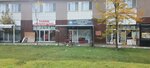 Altınşehir Kültür ve Sanat Derneği (Muammer Aksoy Cad., No:8Cf, Nilüfer, Bursa), dernekler, birlikler  Bursa'dan