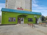 Atelier (No:24, mikrorayon Akmeshit), terziler  Kızılorda'dan