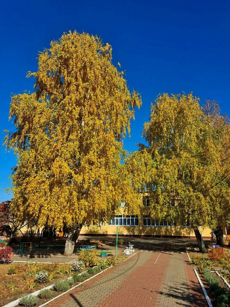 Anaokulları Детский сад № 2, Belgorodskaya oblastı, foto