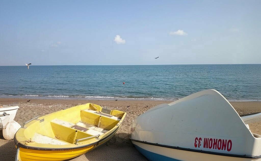 Konser salonları 3 Maymun Türkü Evi, Mersin, foto