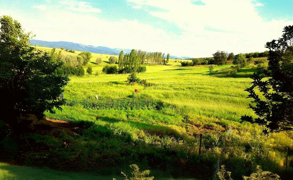 Muhtarlıklar Hayran Kavakalanı Köy Muhtarlığı, Akdağmadeni, foto