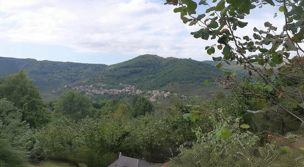 Muhtarlıklar Çömlekçi Köy Muhtarlığı, Ereğli, foto