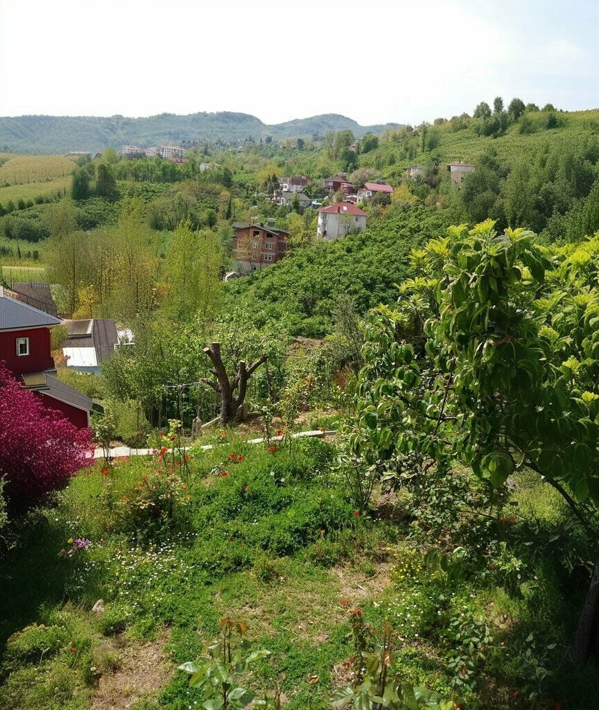 Özel mobilya yapımı Günaydın Mobilya, Perşembe, foto