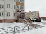 Salon Veles (ulitsa Energetikov No:11Б), evcil hayvan kuaförleri  Neftekamsk'tan