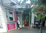 Vmk optik (Belgrade County, Zemun, Donji grad, Magistratski Trg, 4), optik  Sırbistan'dan