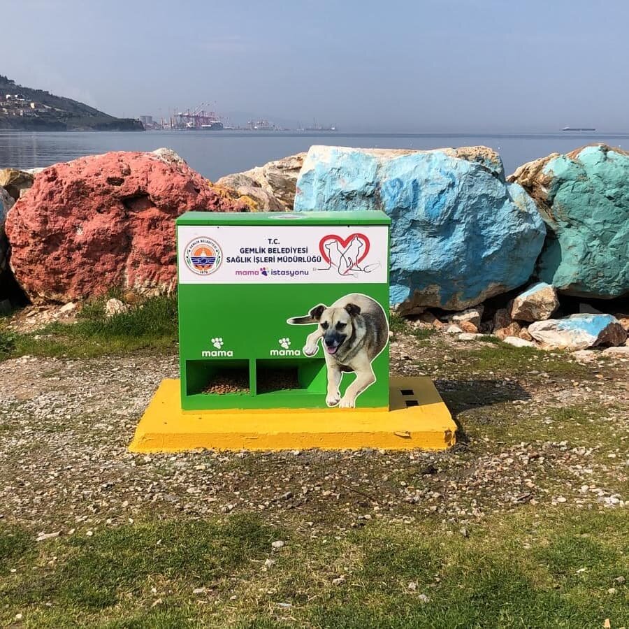 Petshop Mama İstasyon, Bursa, foto