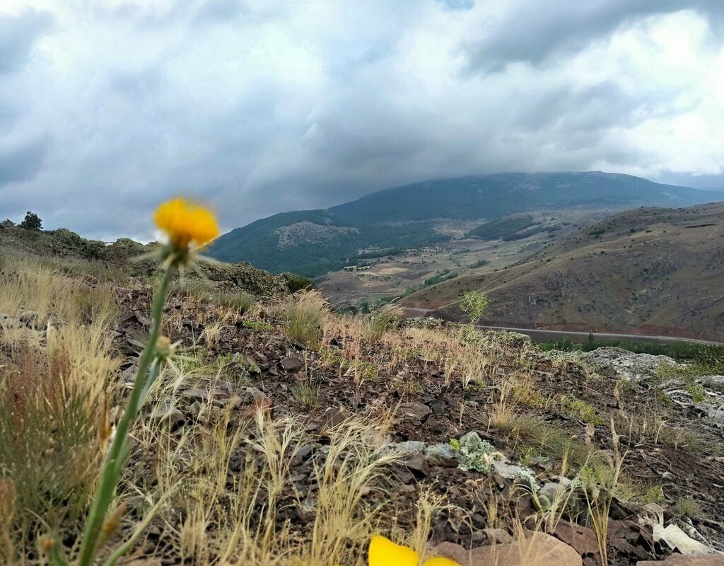 Ortaokul Yusufoğlan Ortaokulu, Yıldızeli, foto