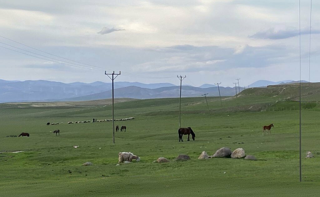 Muhtarlıklar Kuşburnu Köy Muhtarlığı, Diyadin, foto