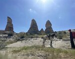 Avanos horse ranch (Nevşehir, Avanos, Çavuşin Mah.), at ve binicilik kulüpleri  Avanos'tan