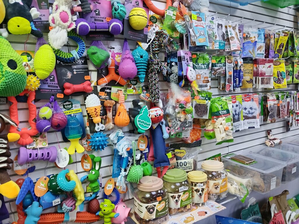 Petshop Котофей, Stariy Oskol, foto