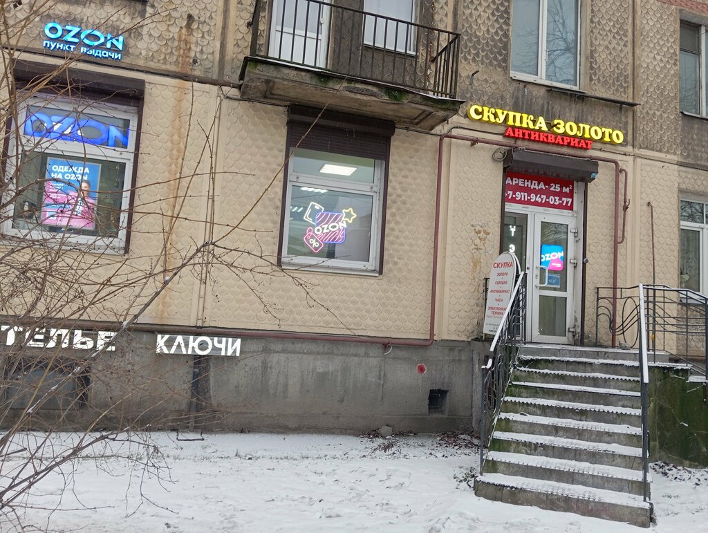 Teslimat noktası Ozon, Saint‑Petersburg, foto