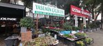 Yasemin Çiçek Evi (Şemsettin Günaltay Cad., No:125C, Kadıköy, İstanbul), çiçekçiler  İstanbul'dan