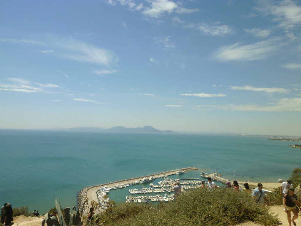 Kafe Cafe Des Delices-Sidi Bou Said, Dünya, foto