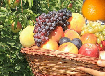 Toptan sebze ve meyve satışı Ata Fruit Food, İzmir, foto