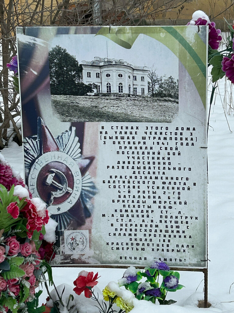 Turistik yerler Дача П.Г. Демидова, Saint‑Petersburg, foto