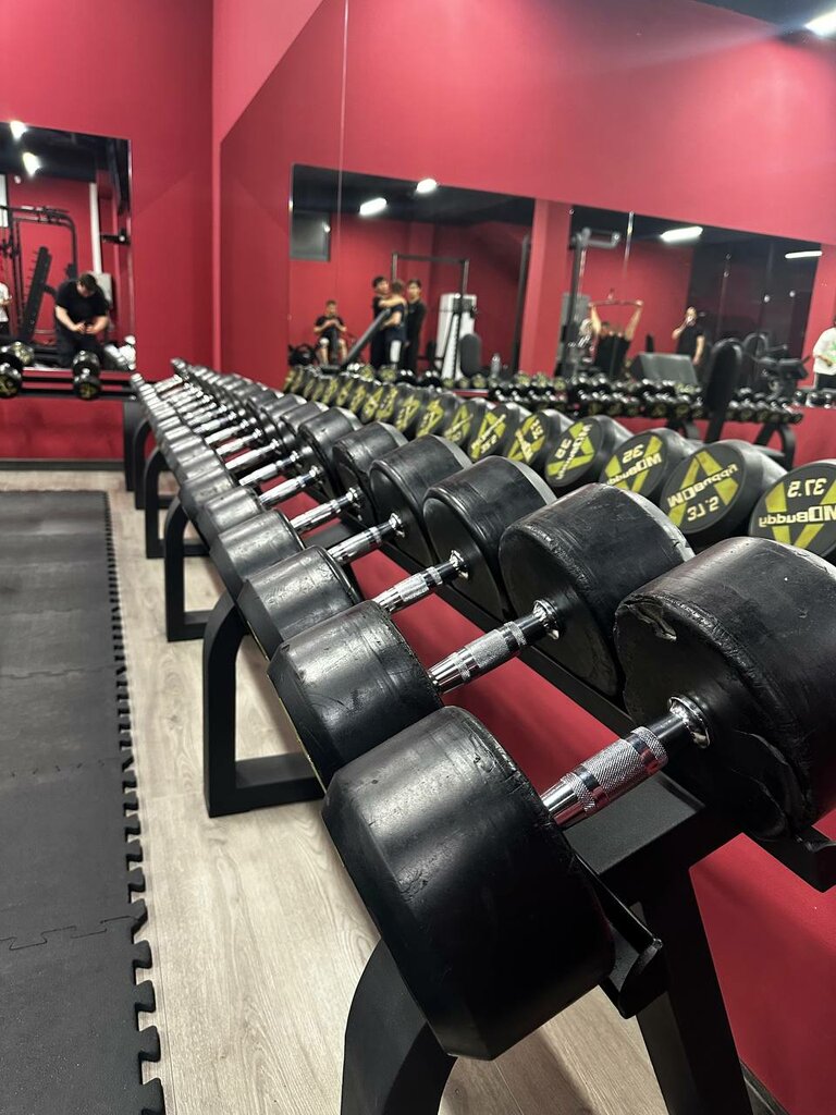 Spor ve jimnastik salonları Sigma gym, Taşkent eyaleti, foto