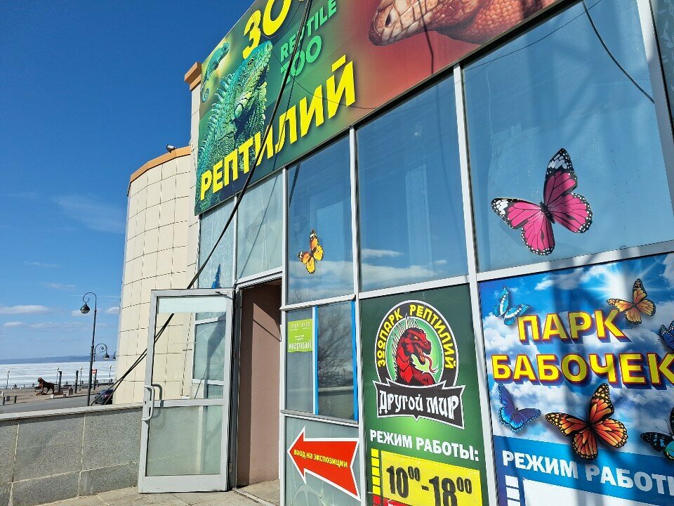 Hayvanat bahçeleri Другой мир, Vladivostok, foto