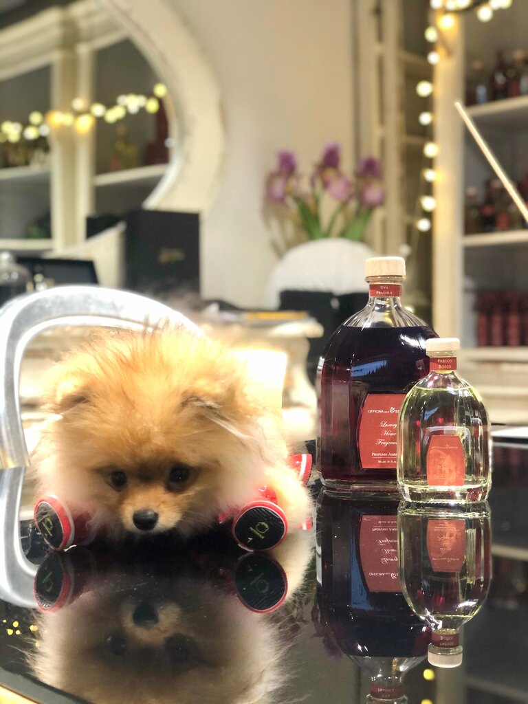 Aromaterapi ürünleri Aromat Doma, Saint‑Petersburg, foto