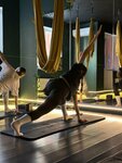Flexible (Raketostroiteley Avenue No:9к1), fitness kulüpleri  Dolgoprudny'den
