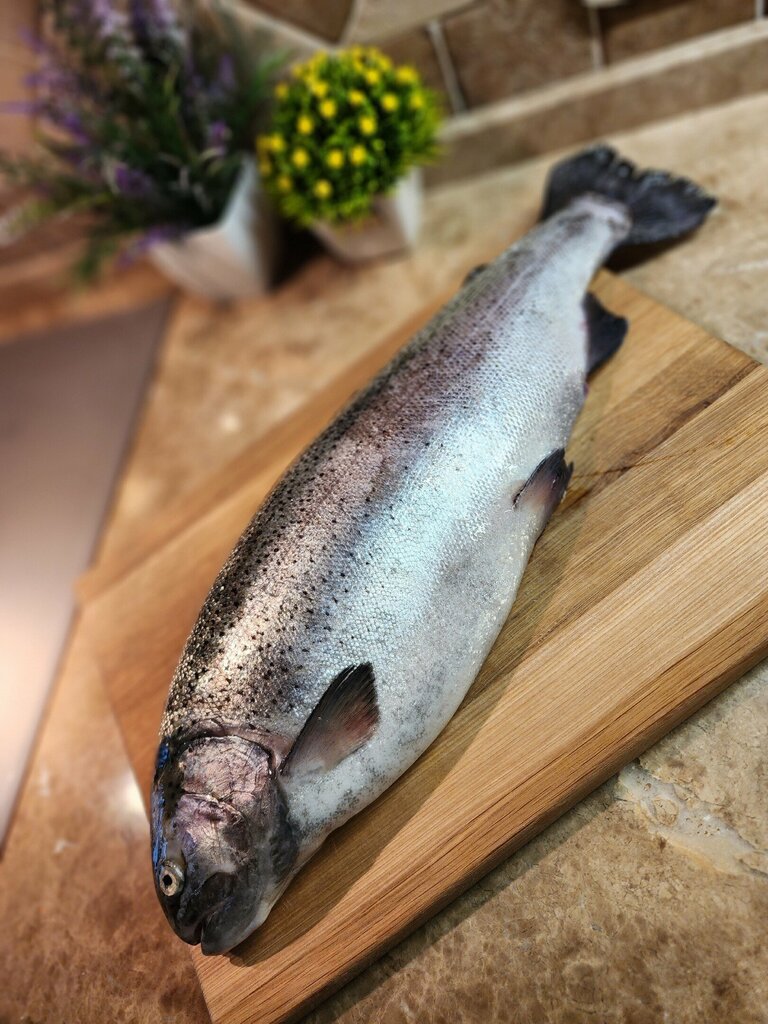 Balık ve deniz ürünleri Eco forel, Krasnoyarski krayı, foto