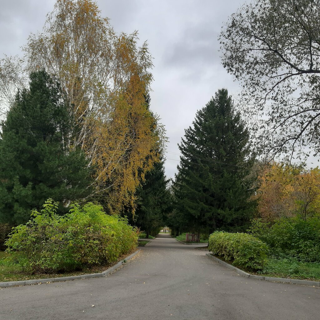 Kültür ve eğlence parkları Molodost Public Garden, Seversk, foto