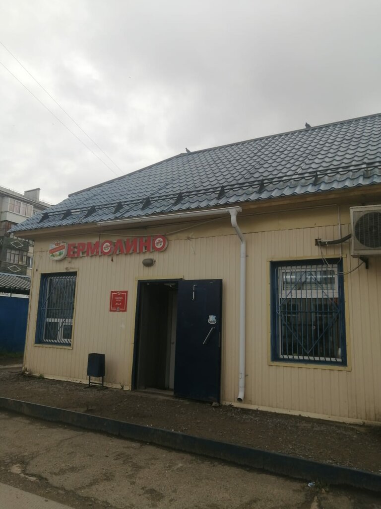 Market Yermolino, Lesosibirsk, foto