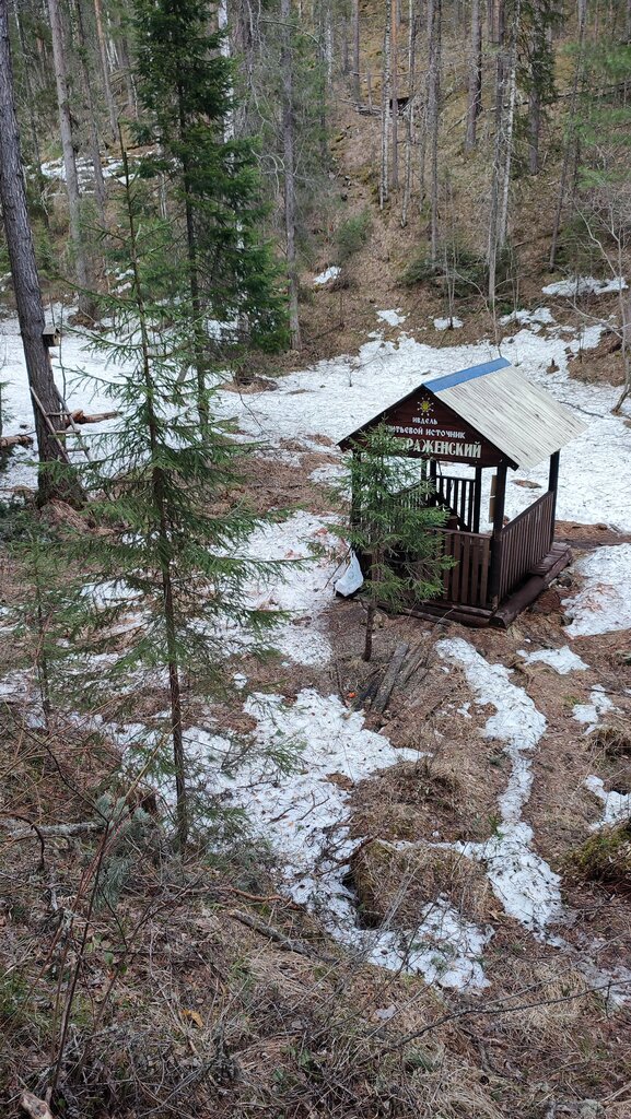 Pınar, çay Spring, stream, Sverdlovskaya oblastı, foto