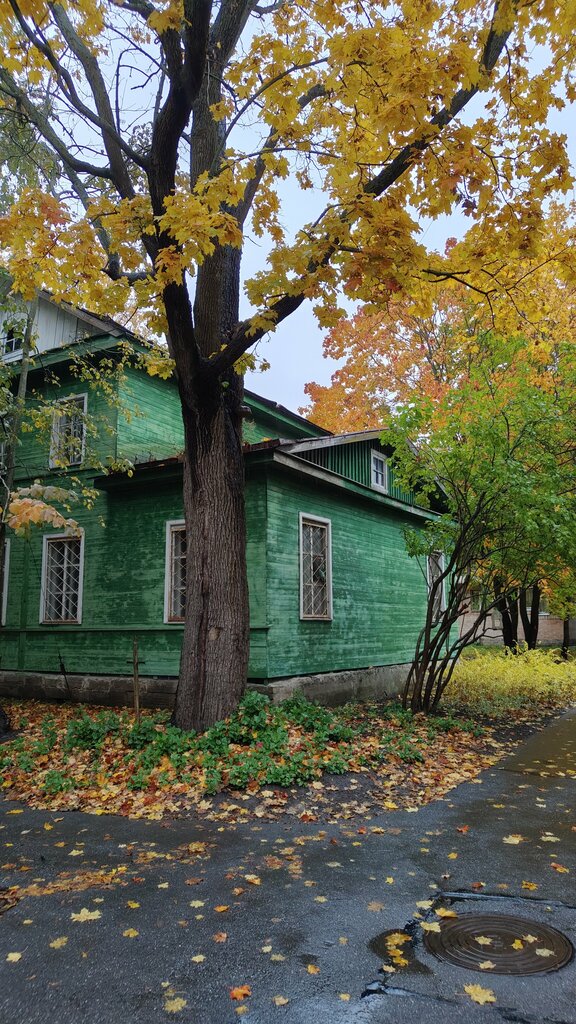Turistik yerler Дом Севастьянова, Puşkin, foto