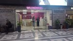 Wildberries (Moscow, Andropova Avenue, 22), point of delivery  Moskova'dan
